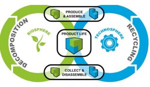 Case Study: Interior Design and Sustainability – Education for the ...