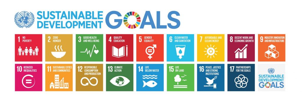 Education for the Sustainable Development Goals at DMU
